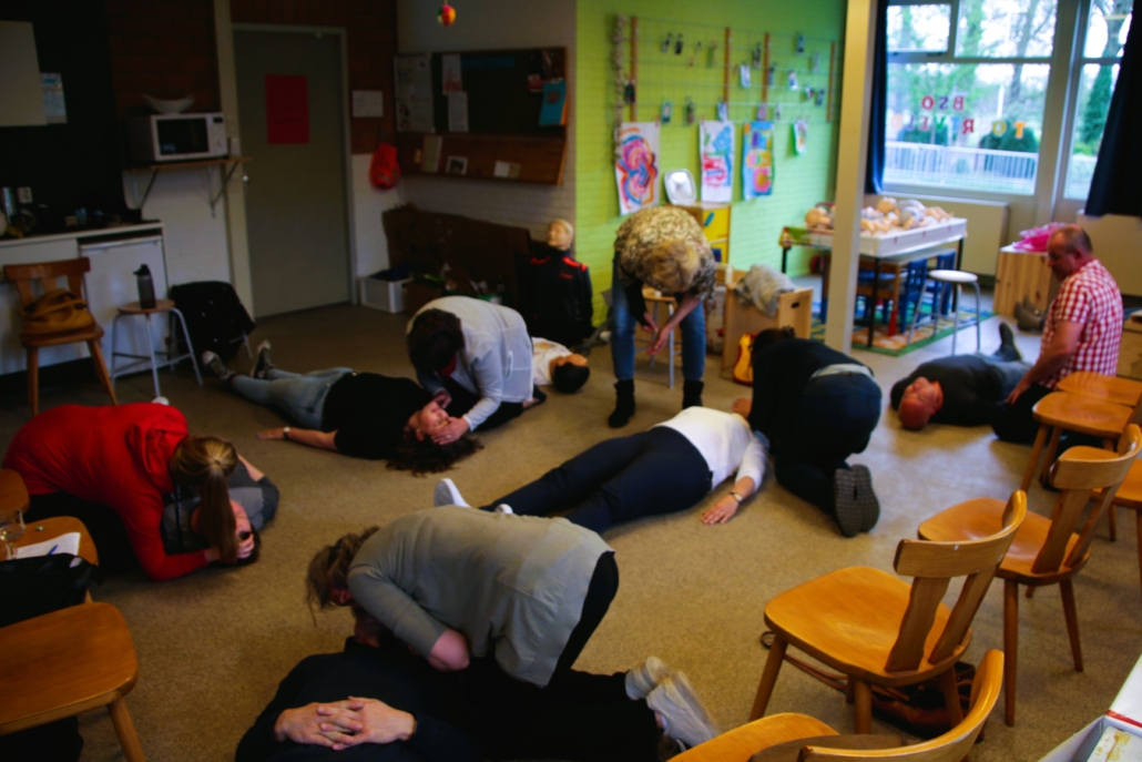 Cursus op maat - Papillon Teelen